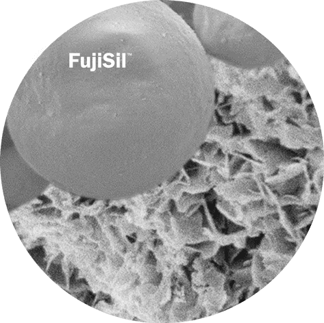 Pharmaceutical Application – Fuji Chemical Industries USA